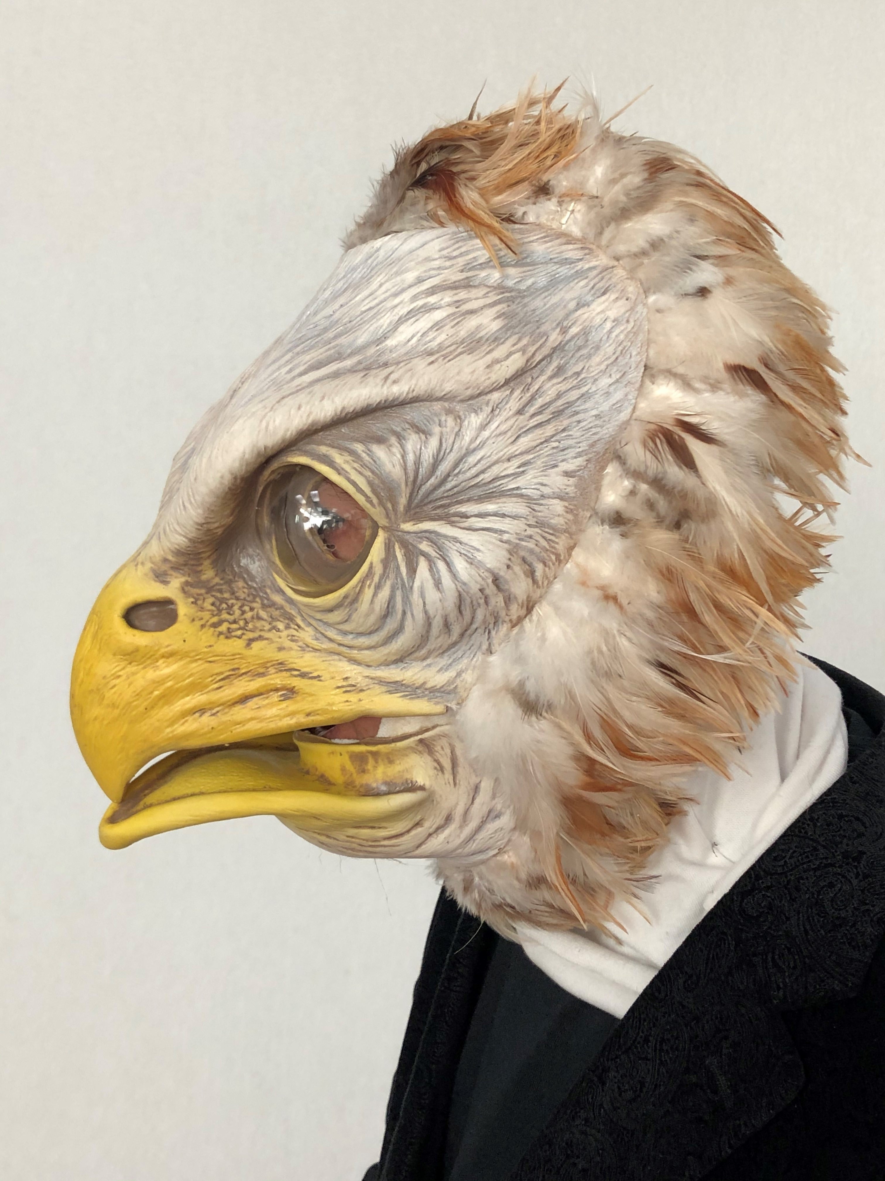 Bald Eagle Mask made by Anthony Zagone - Zagone Studios, LLC