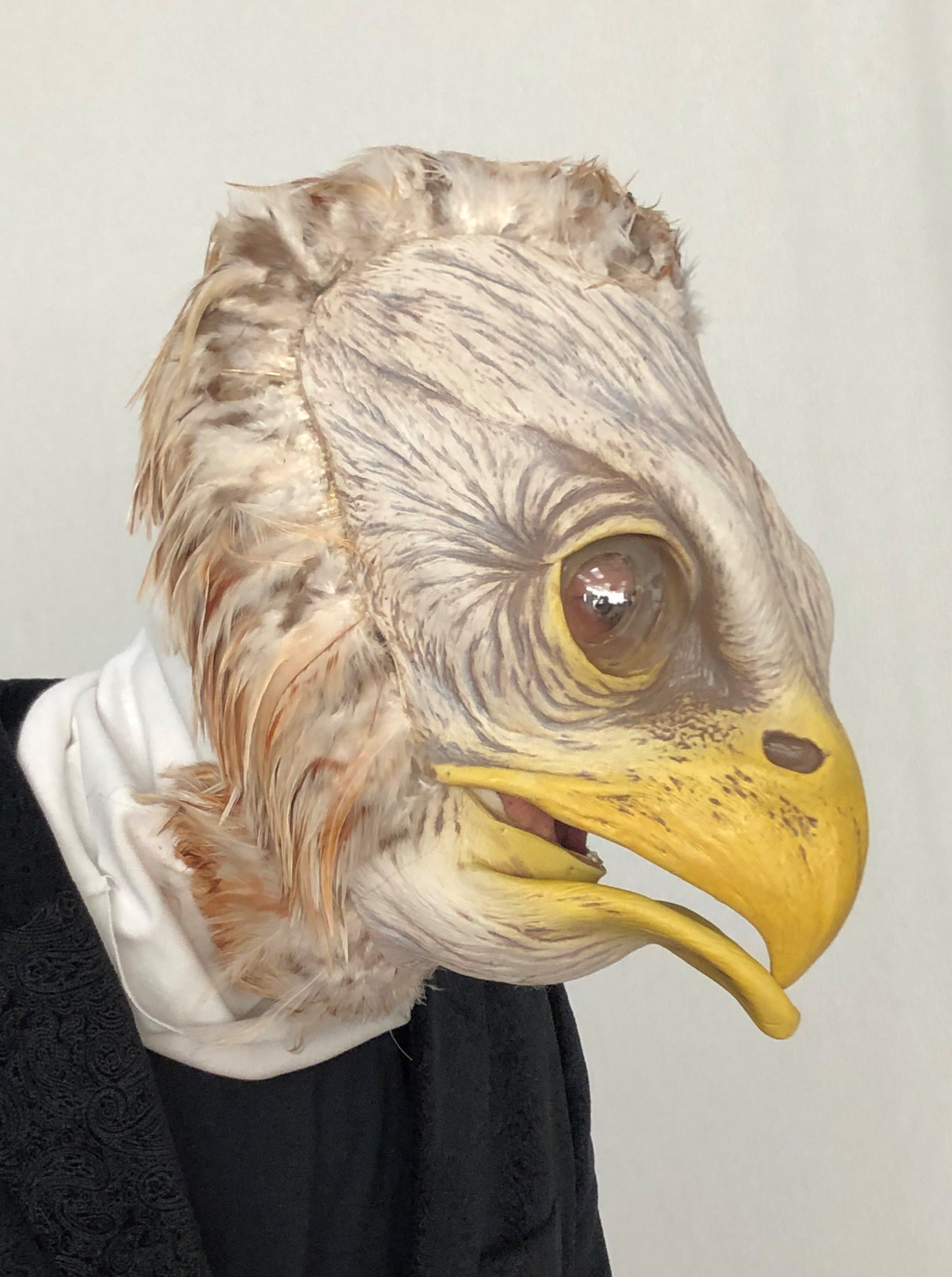 Bald Eagle Mask made by Anthony Zagone - Zagone Studios, LLC